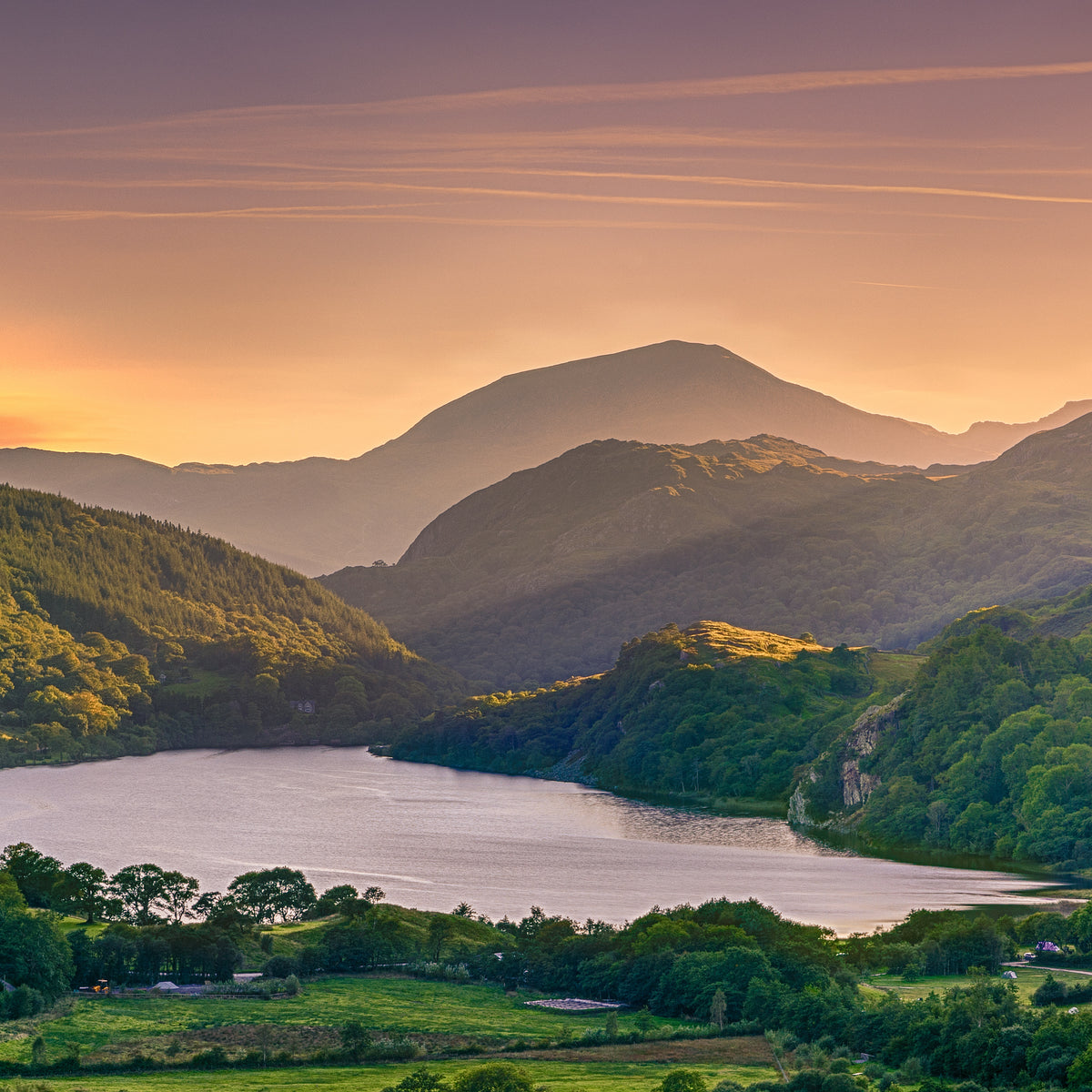 Discover National Parks Fortnight – Monster Shop UK